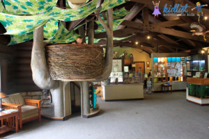 45 Nature Centers in Chicagoland: Visitors Centers, Nature Musueums ...