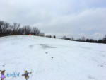 The Best Places to Go Sledding in the Western Suburbs of Chicago