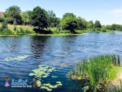 A Day Trip to Lake Katherine in Palos Heights - Kidlist