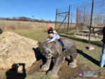 An Outing to the Big Run Wolf Ranch Open House in Lockport