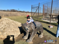 An Outing to the Big Run Wolf Ranch Open House in Lockport