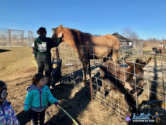 These 17 Local Farms Near Chicago Are a Breath of Fresh Air for Your Family