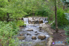 7 Serene Waterfalls in Illinois and Chicago's Suburbs for Breathtaking ...