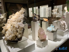 The Lizzadro Museum of Lapidary Art in Oak Brook is a Hidden Gem Right ...