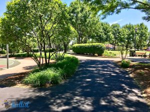 21 Best Parks for Walking with Beautiful Trails to Take Together