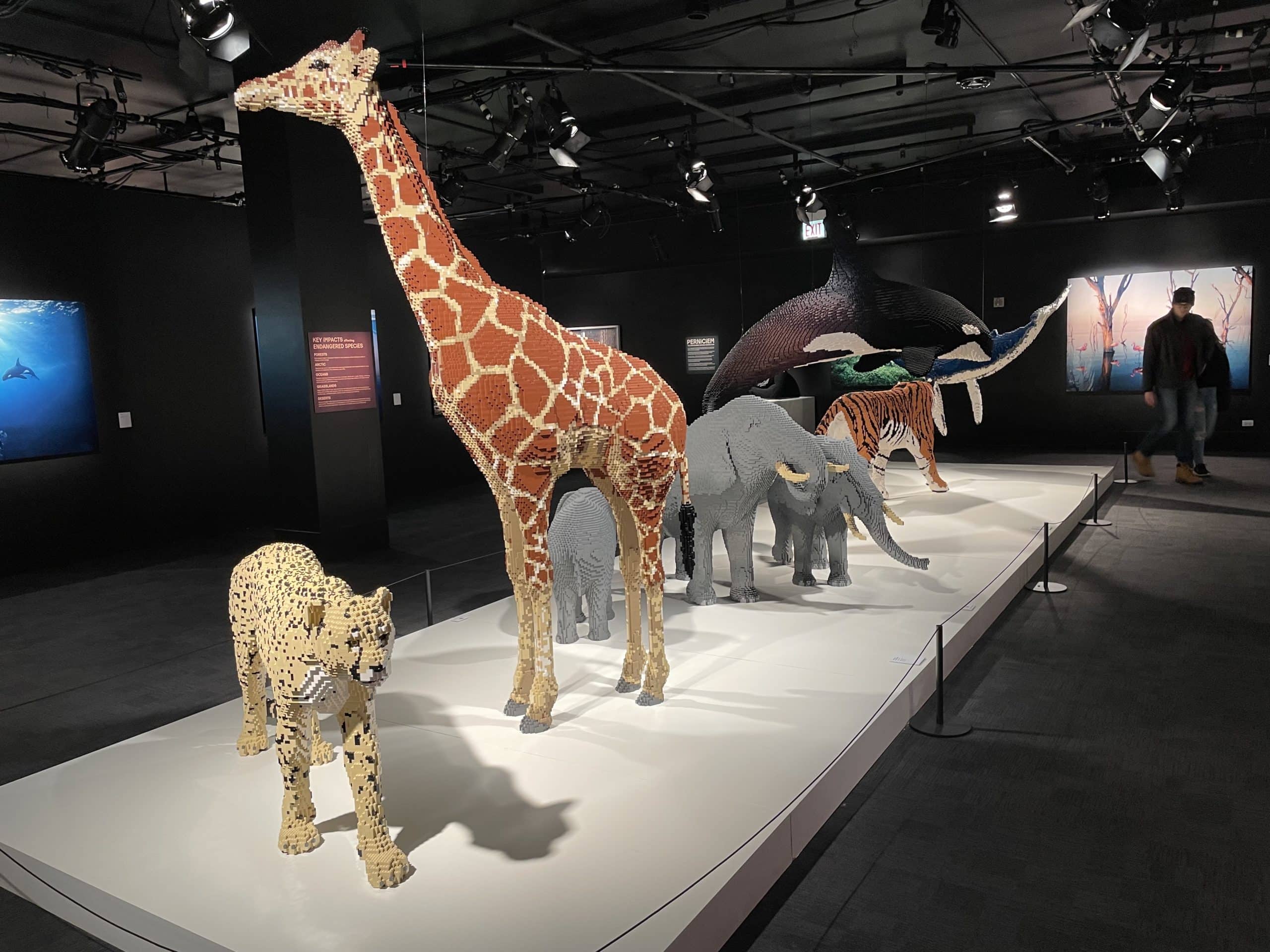 "The Art of the Brick" at the Museum of Science and Industry