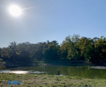 A Picture-Perfect Trip to Fabyan Forest Preserve in Geneva