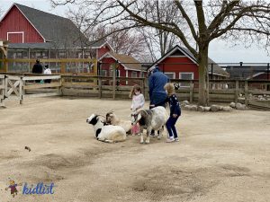 Insider Guide to Randall Oaks Zoo in West Dundee