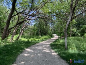 New Activities and Insider Tips for The Forge: Lemont Quarries