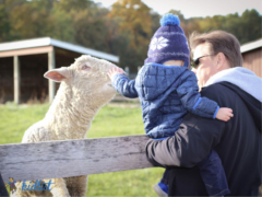 These 17 Local Farms Near Chicago Are a Breath of Fresh Air for Your Family
