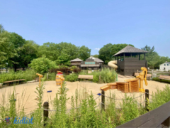 Insider's Guide to Naper Settlement in Naperville