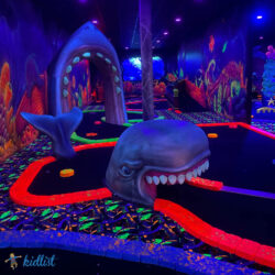 Scene75 Entertainment Center in Romeoville: Arcade Games, Laser Tag, Go ...