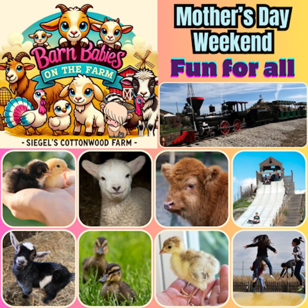 75 Things to Do with Kids This Weekend: May 9-11