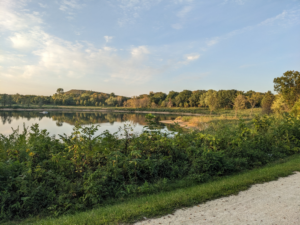 20 Best Hiking Trails for Kids to Explore Nature on Little Legs