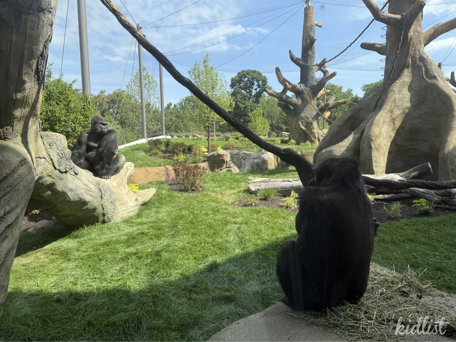 New Experiences at Brookfield Zoo Chicago: Bramsen Tropical Forests ...