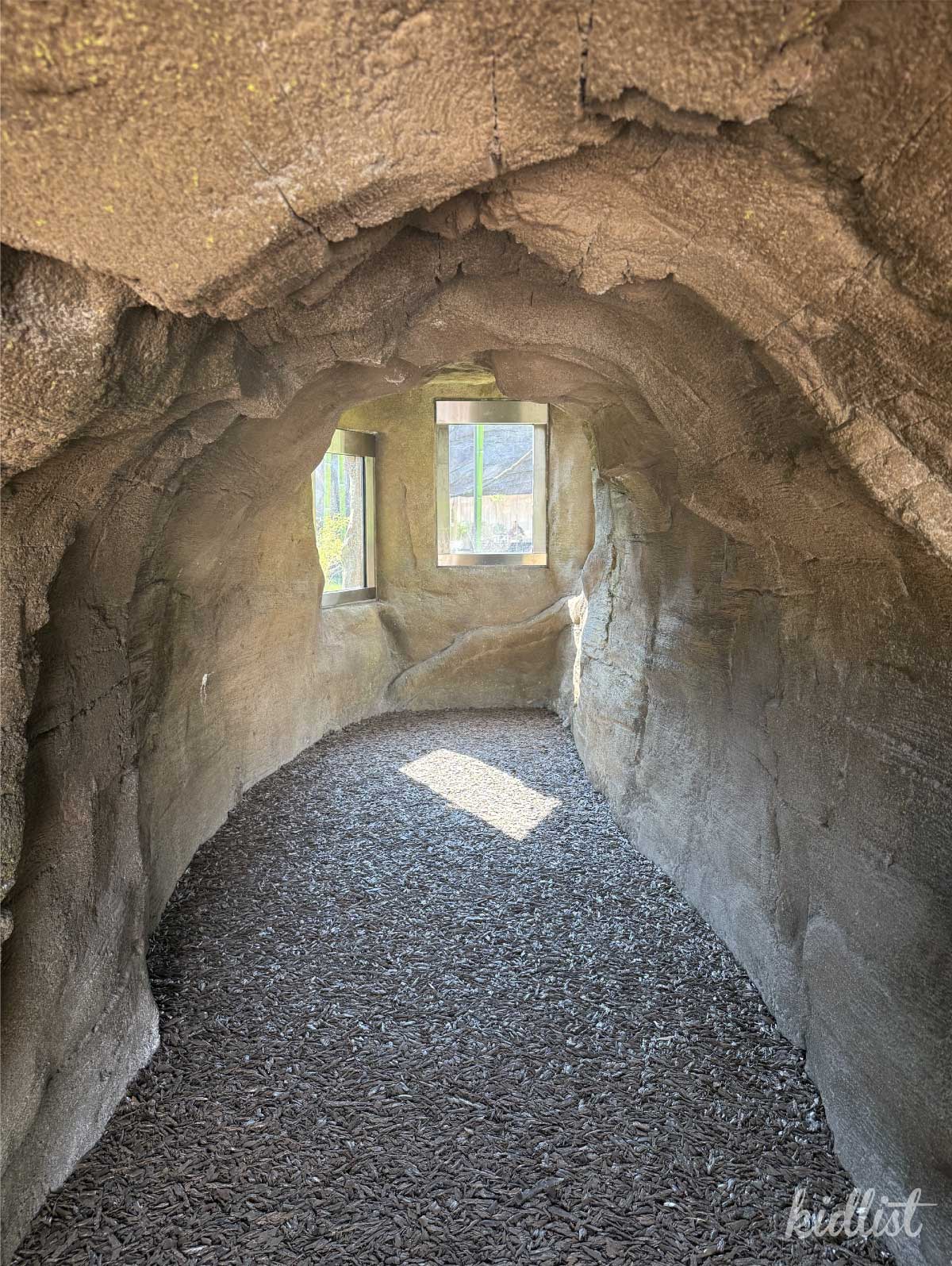 New Experiences at Brookfield Zoo Chicago: Bramsen Tropical Forests ...