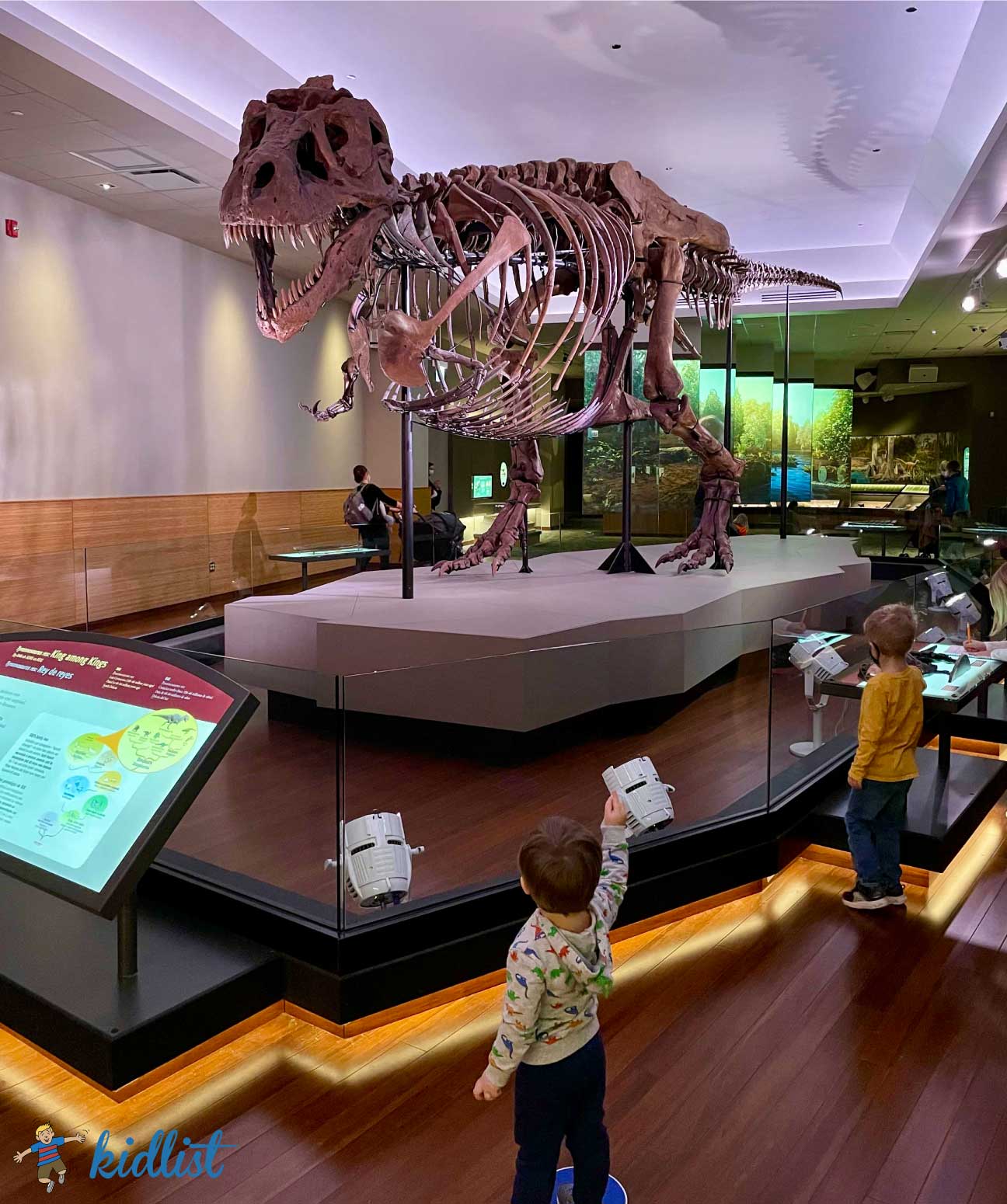 Places to See Dinosaurs: Museums, Attractions, and Events to Delight ...