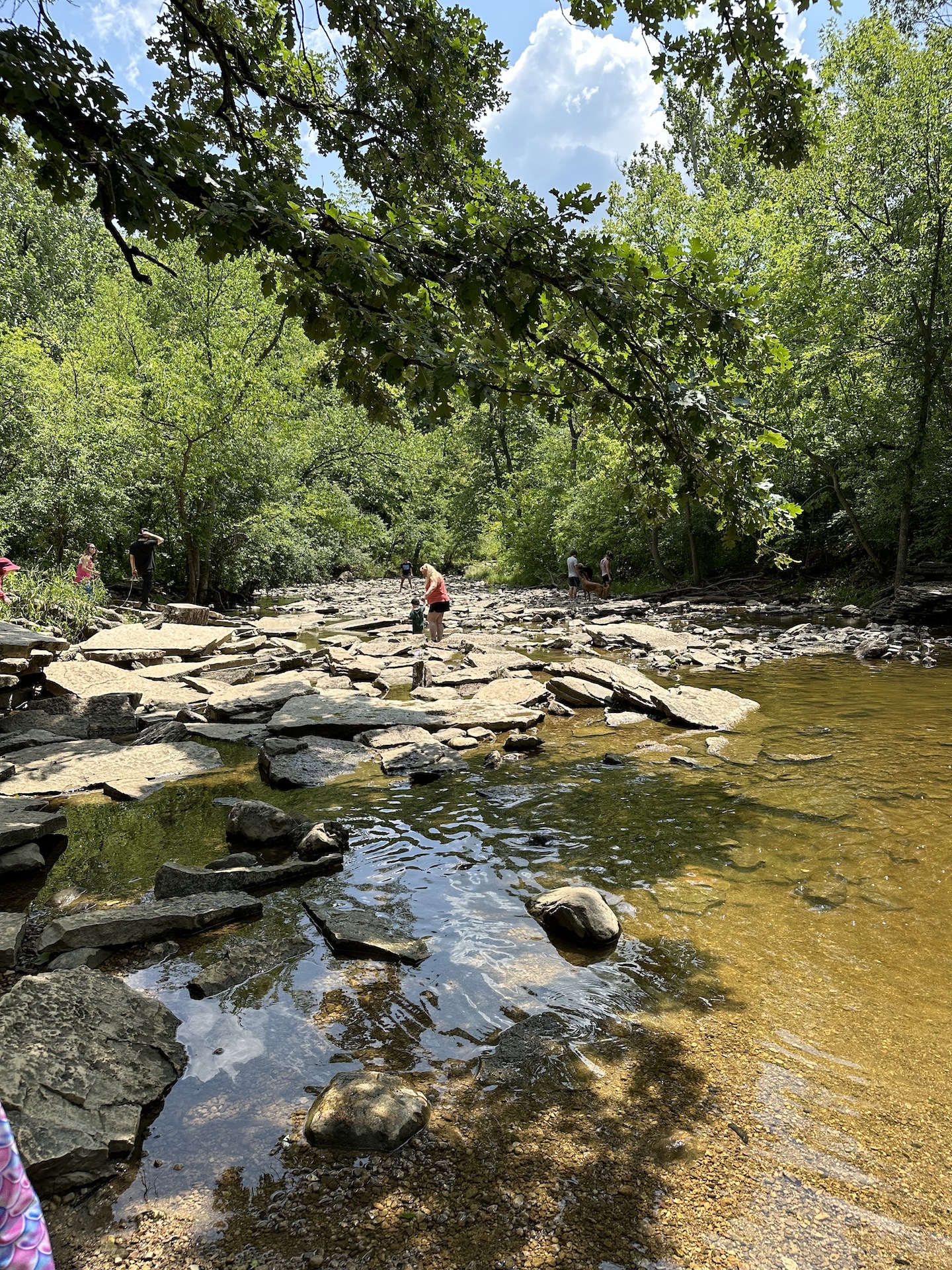 25 Hiking Trails for Kids to Explore Nature on Little Legs