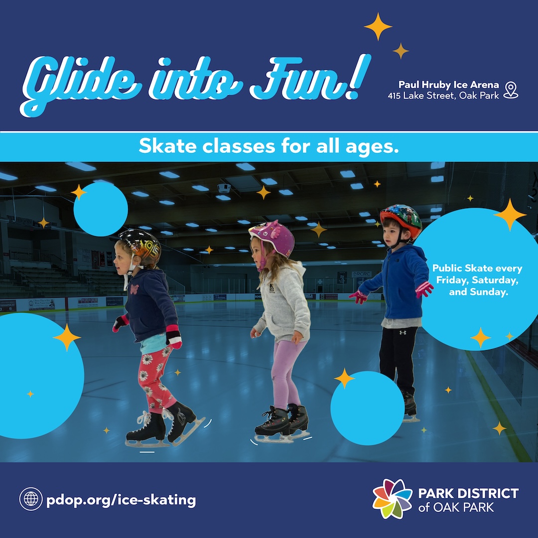 Chicagoland Arenas with Ice Skating Lessons, Including Figure Skating ...