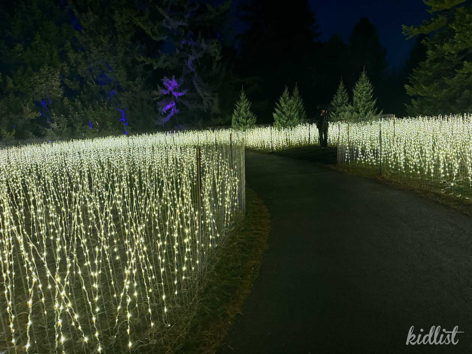 Giveaway! Illumination: Magical Tree Lights at The Morton Arboretum