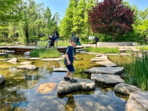 Vivid Creatures: The Newest Exhibit at The Morton Arboretum