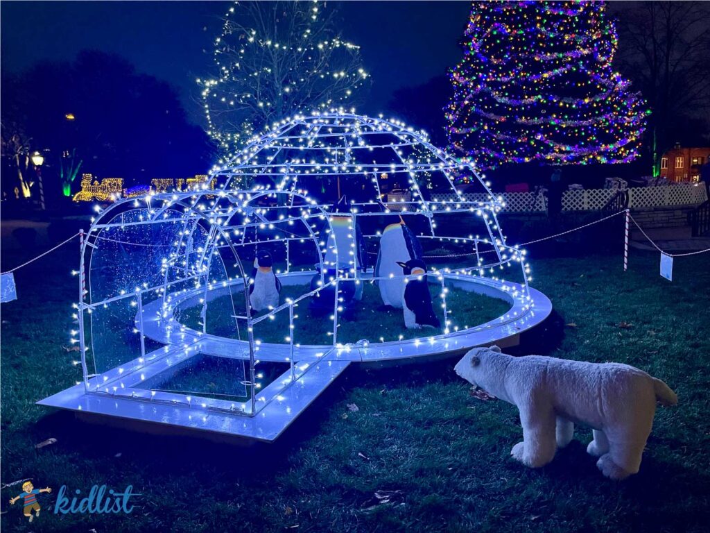 30 Best Drive-Through Christmas Lights Displays and Walk-Through Light ...