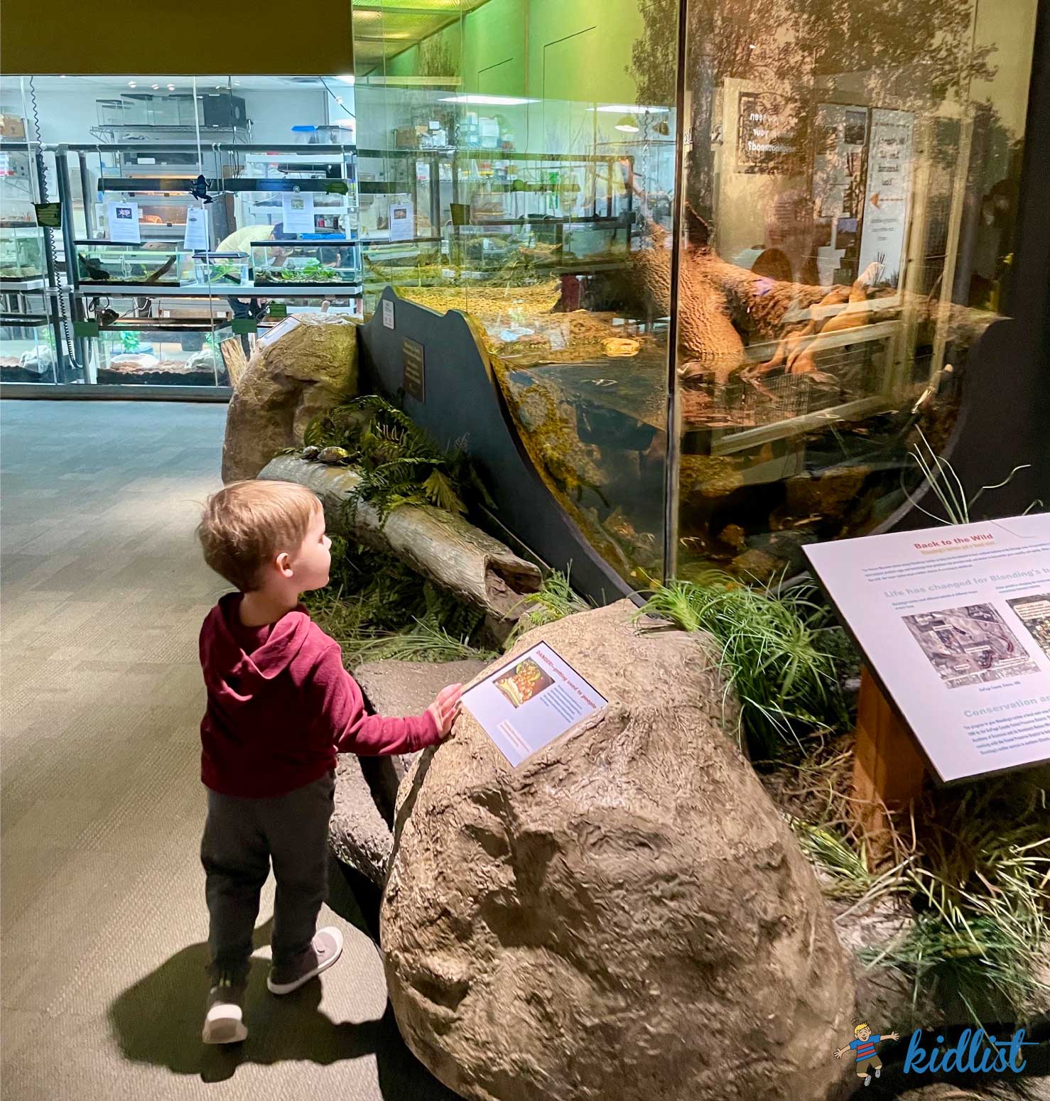 45 Nature Centers in Chicagoland: Visitors Centers, Nature Musueums ...