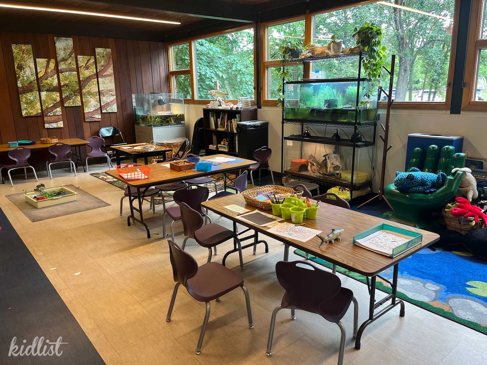 Combo Trip! Maine Park and Wildwood Nature Center in Park Ridge