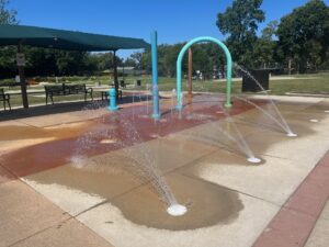 Insider Guide! Phillips Park Zoo in Aurora