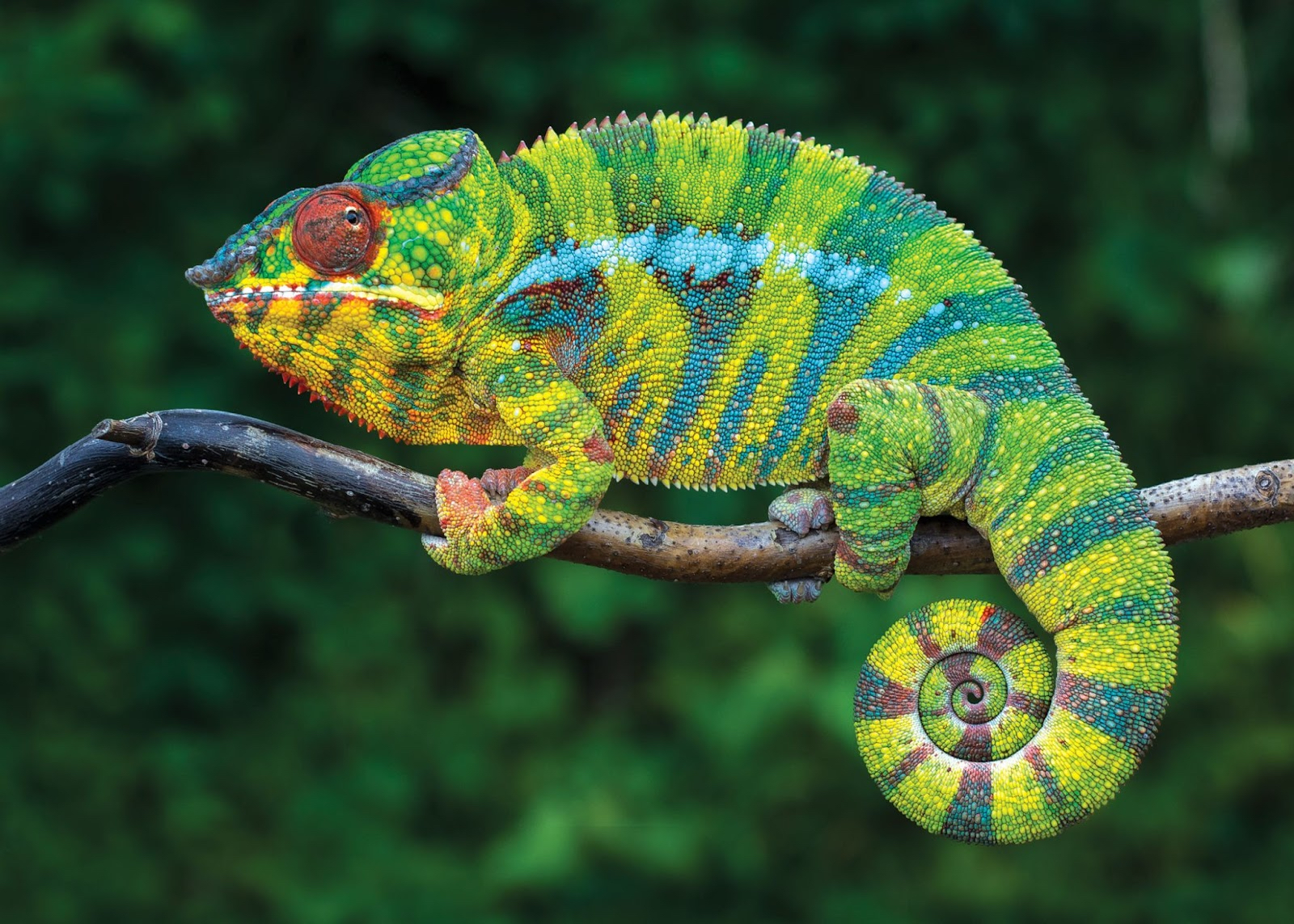 18 Immersive Experiences and New Exhibits in 2025: Chicago, Oak Brook ...