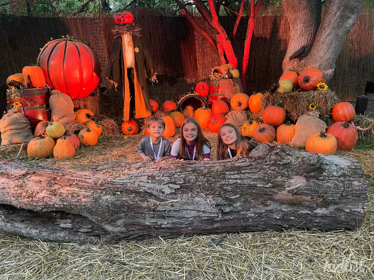 Step Into the Magic of Harry Potter: A Forbidden Forest Experience
