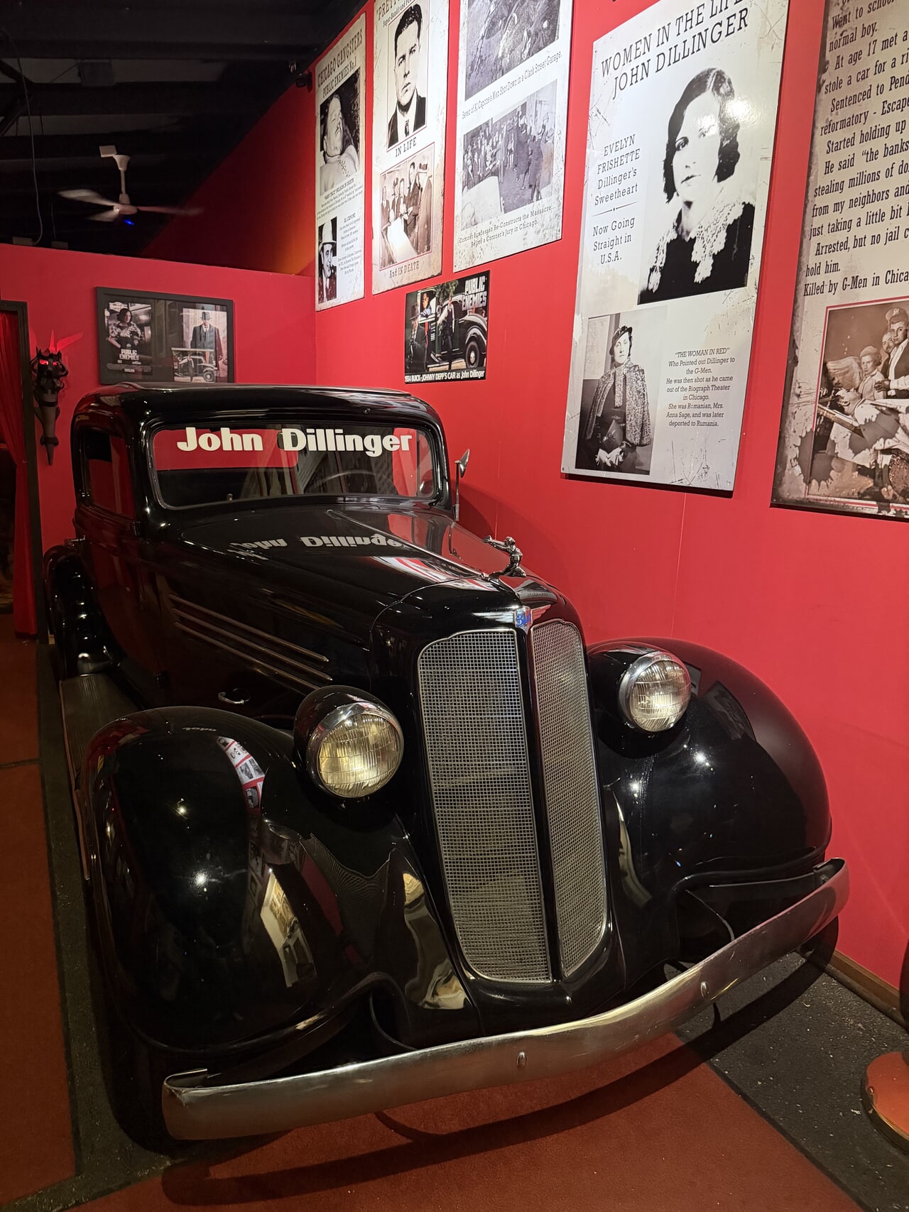 Volo Museum: Cars, Dinosaurs, Titanic & More (What to Know Before You Go)