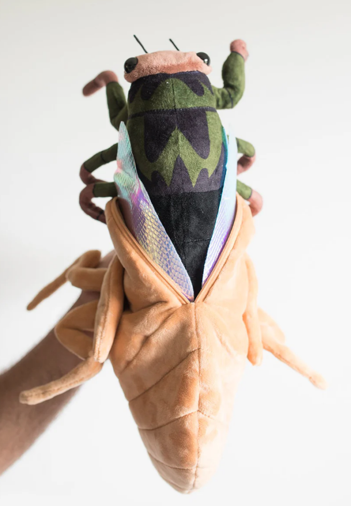 Cicada Program - Kidlist